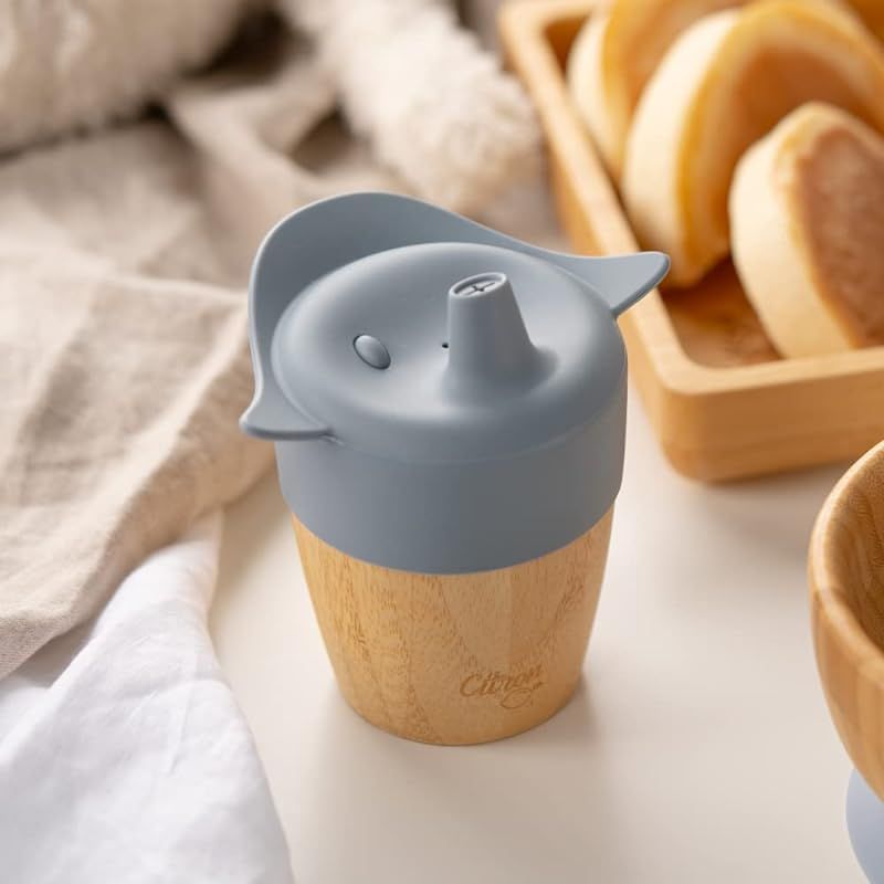 Buy Skip Hop Bamboo Cup With 2 Silicone Lids Online | Danube Home UAE